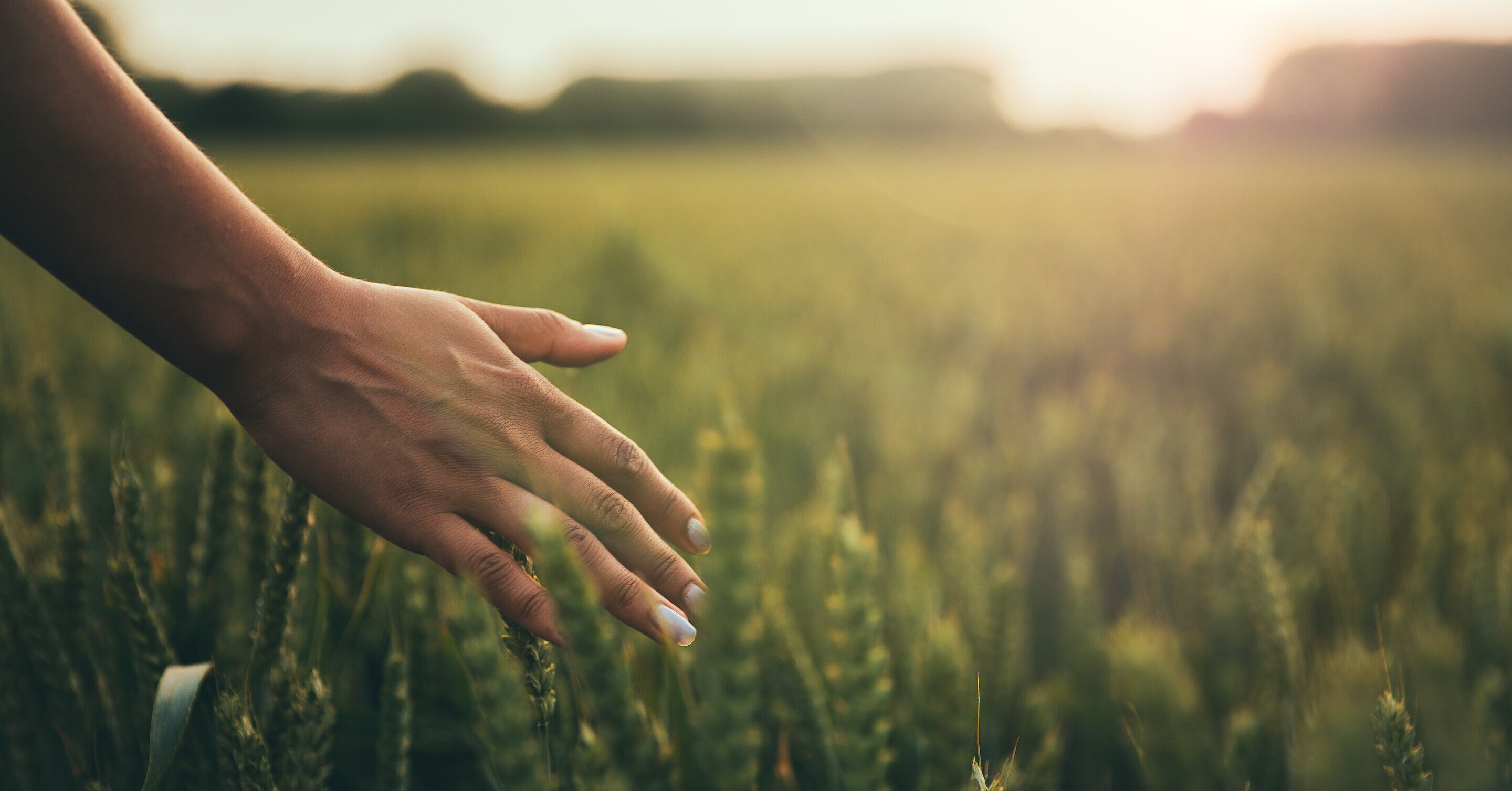 How OEKO-TEX® is Creating a More Sustainable Future for Textiles