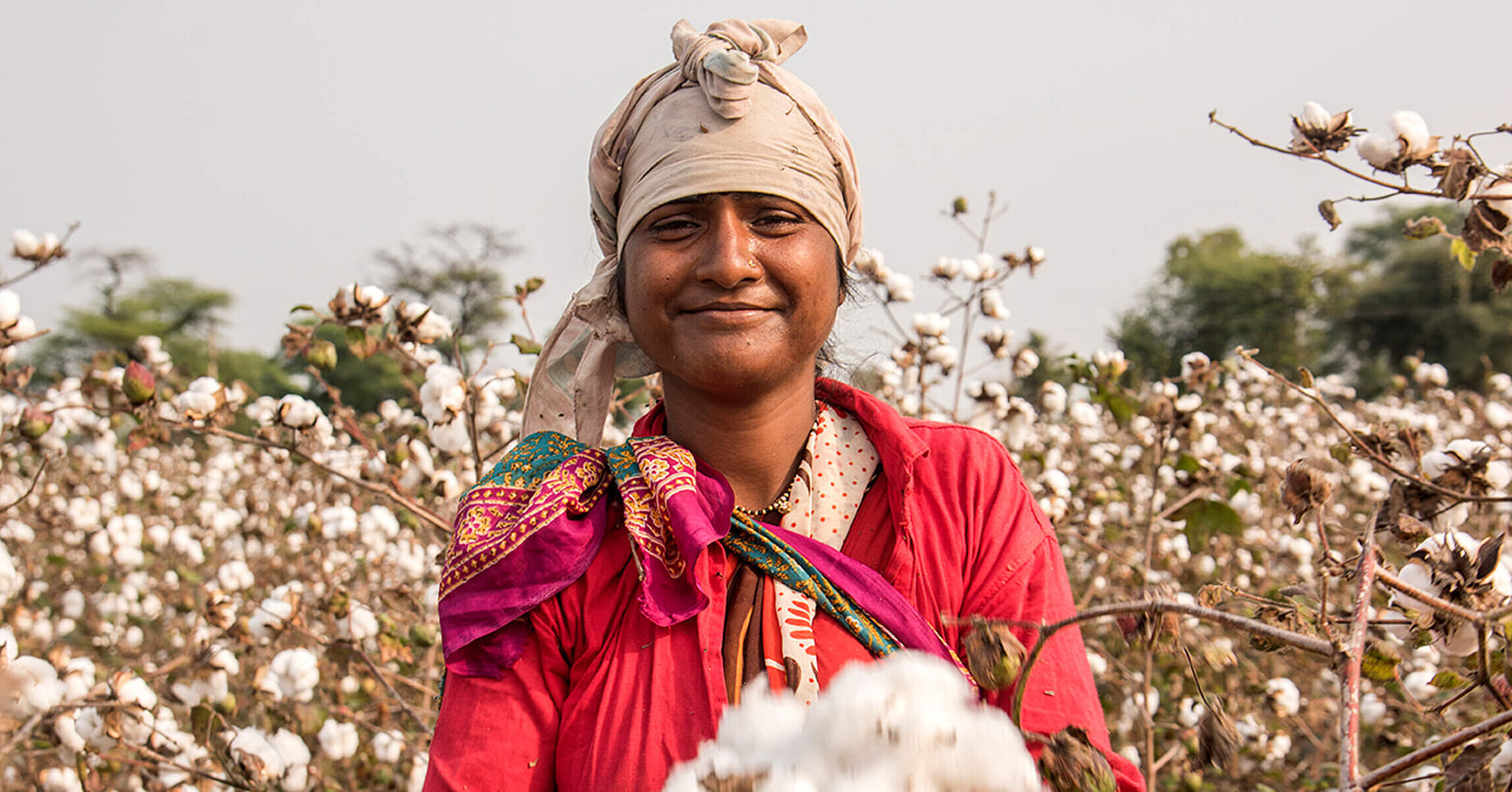 OEKO-TEX® ORGANIC COTTON